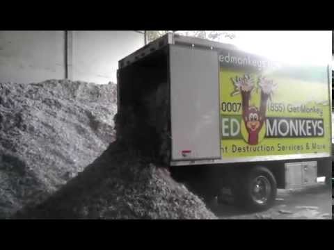 SHRED MONKEYS SECURE UNLOADING PROCESS OF ALL PAPER FOR RECYCLING - YouTube