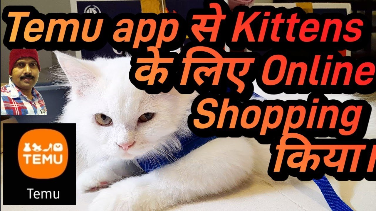 Temu app से Kittens के लिए Online Shopping किया। Did online shopping ...