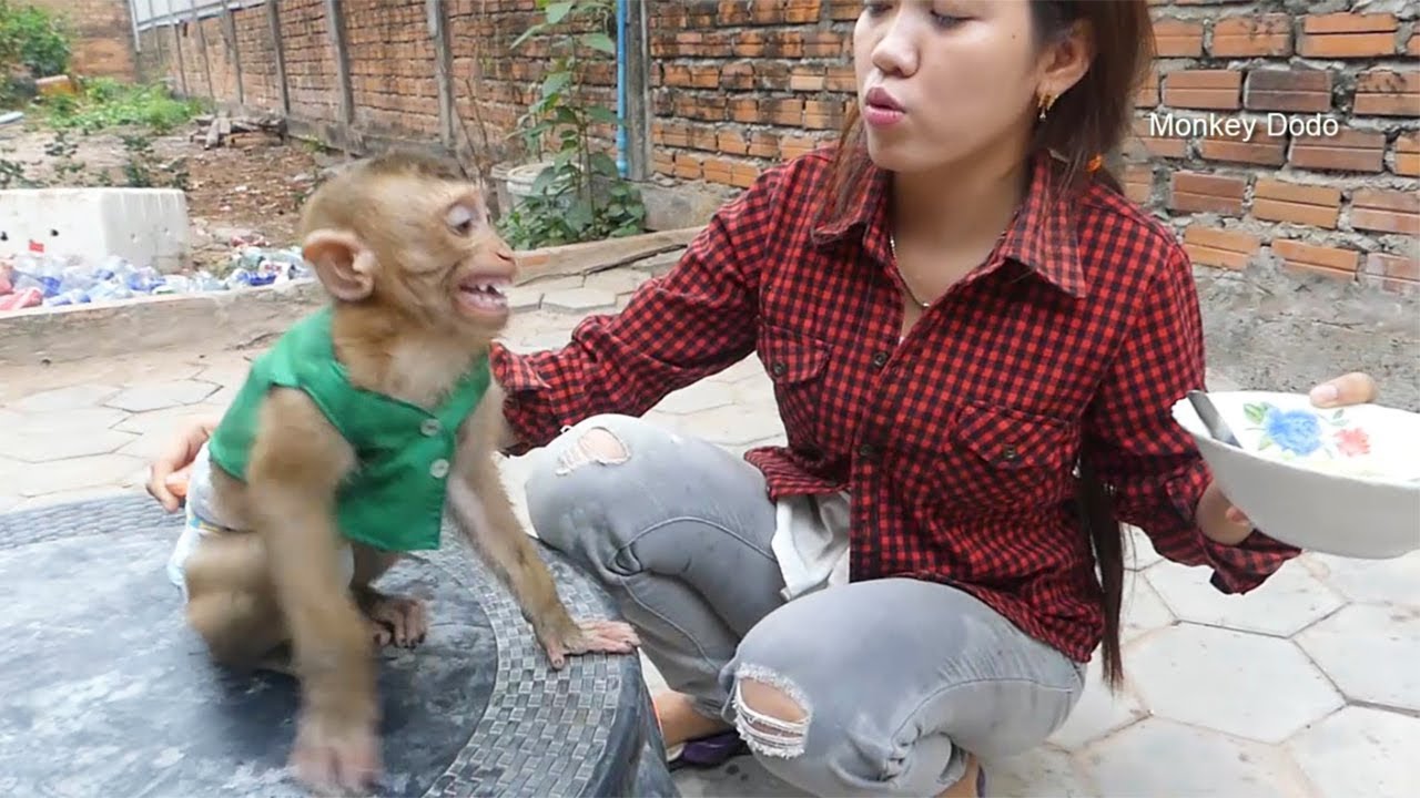 OMG!! Dodo Crying Cannot Wait Mom Feed Special Sweet - YouTube