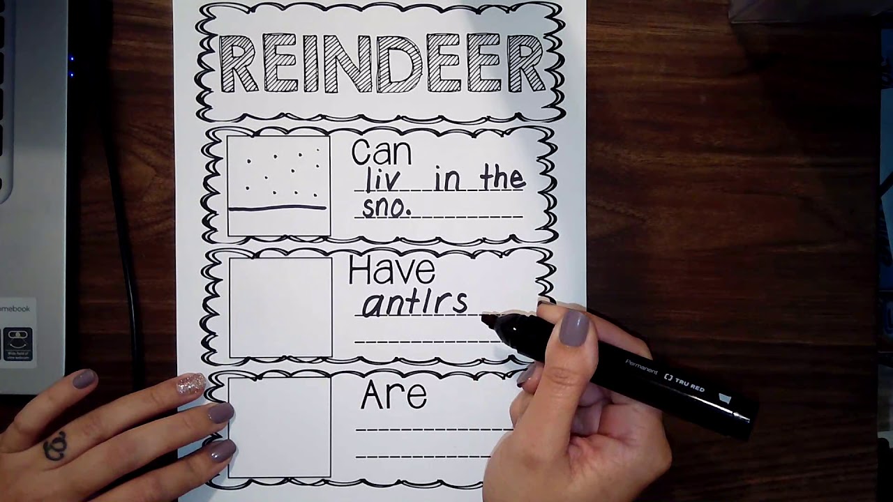 Reindeer Graphic Organizer- Can, Have, Are - YouTube