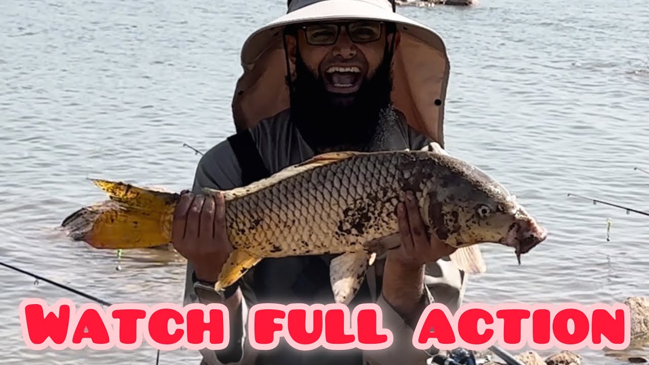 Commom Carp Catch | Watch Full Action | Shahpur Dam | #carpfishing # ...