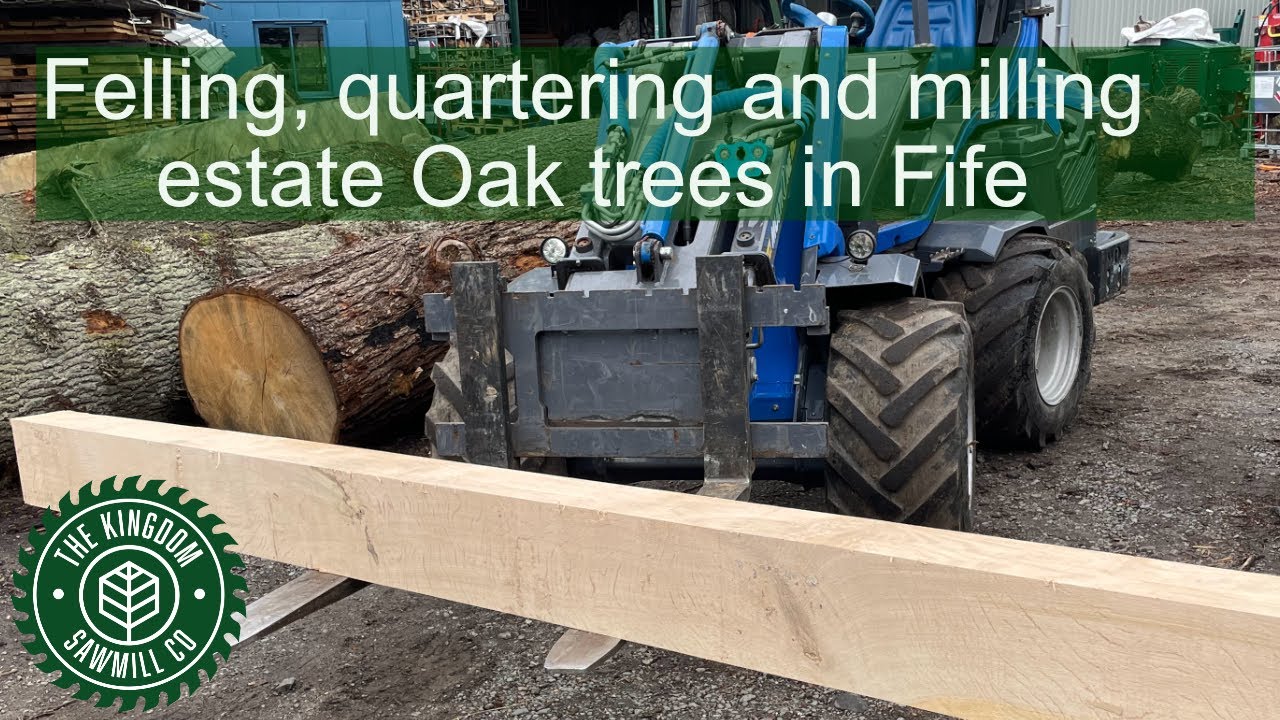 Oak tree quartering and sawmilling with MS880 and Woodmizer LT40Wide ...