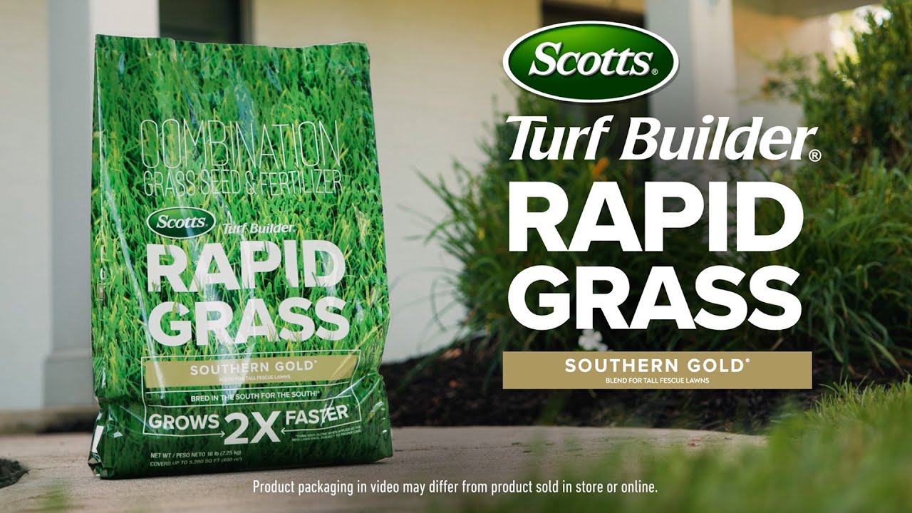 How To Use Scotts Turf Builder Rapid Grass™ Southern Gold® Blend for ...