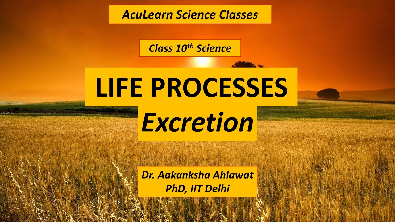 Life processes - Excretion | Part 4 | Class 10th science | By Dr ...