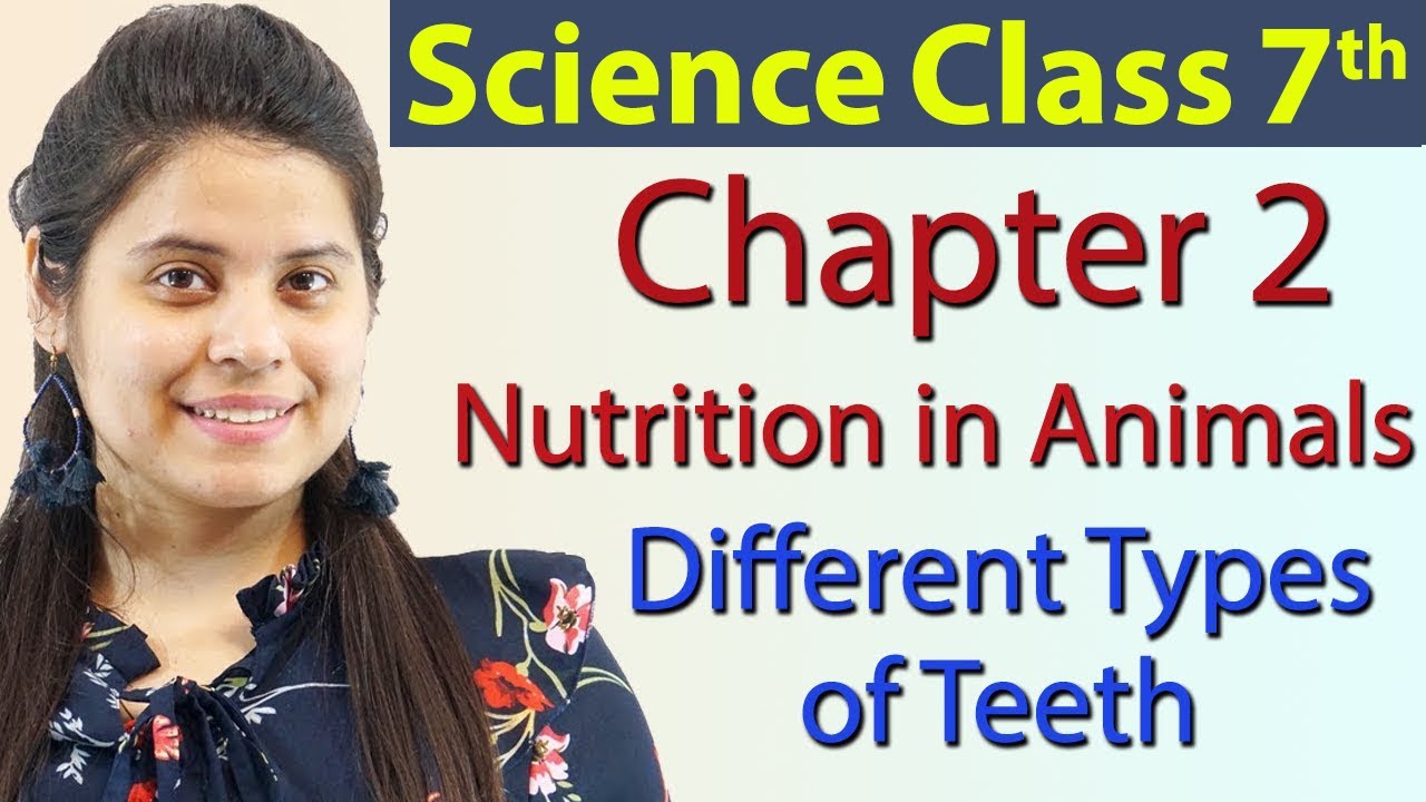 Different Types of Teeth - Chapter 2 – Nutrition in Animals - NCERT ...