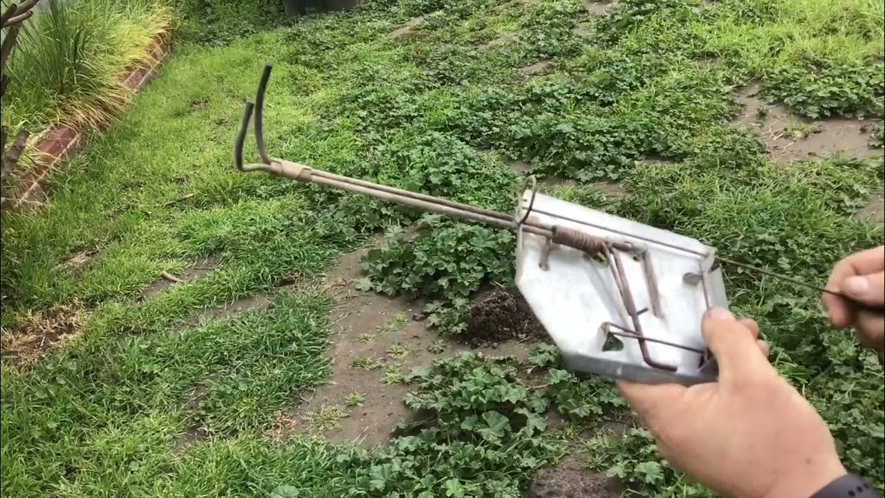 Como preparar la trampa para topos - YouTube