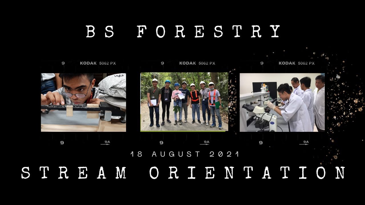 2021 BS FORESTRY STREAM ORIENTATION - YouTube