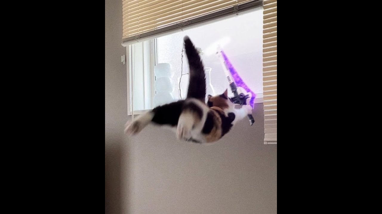 Solo Kali Prim Hunter: Episode Revenant - YouTube