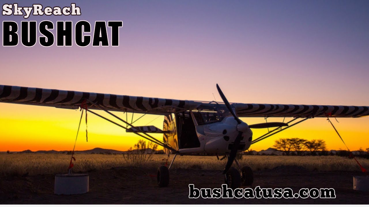 Bushcat Light Sport Experimental Amateurbuilt Aircraft Deland Sport ...