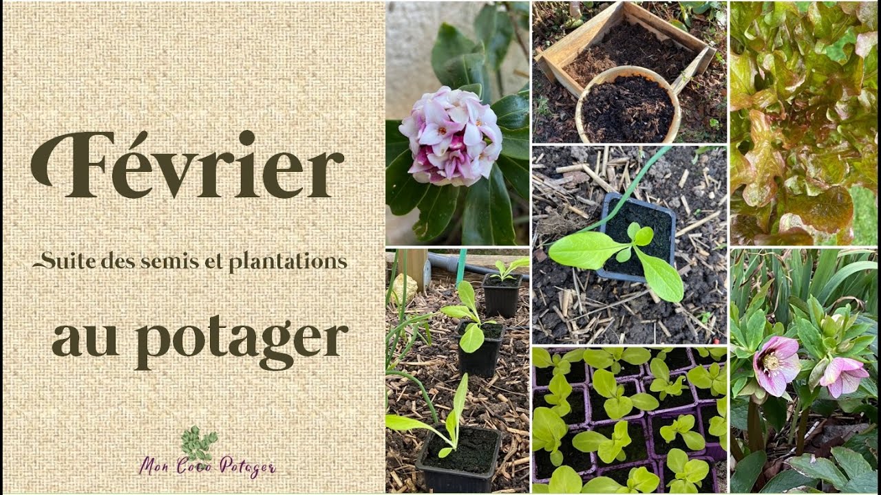 Que faire au potager fin Février ? - YouTube