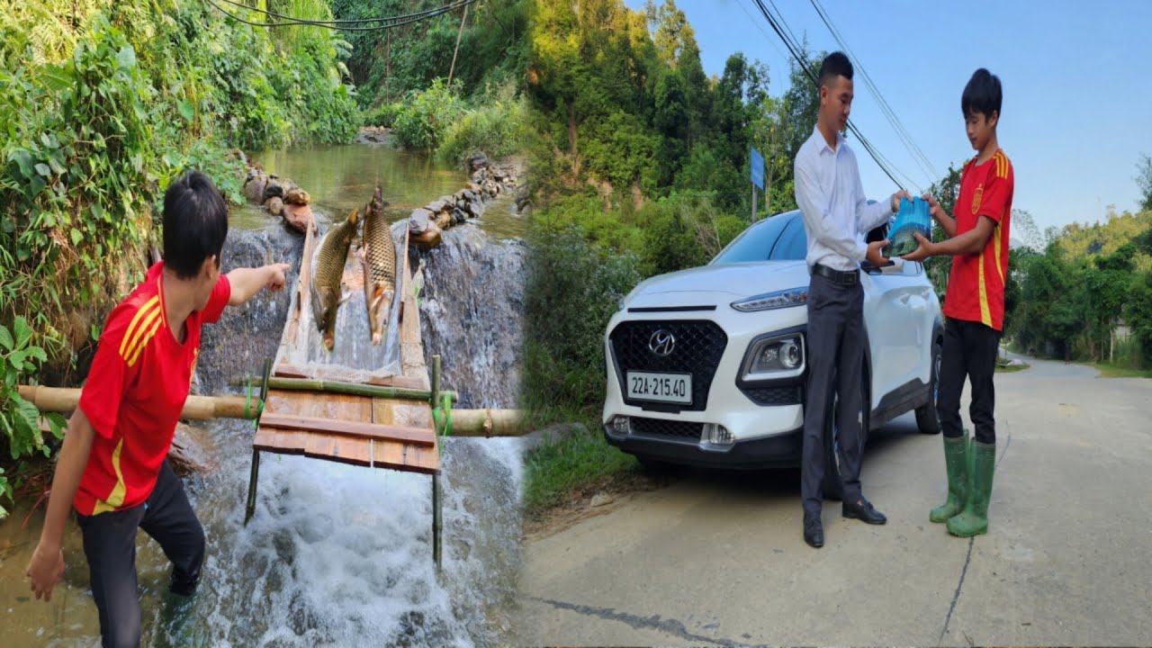 Lam set a fish trap in the stream and luckily caught a big fish, and ...