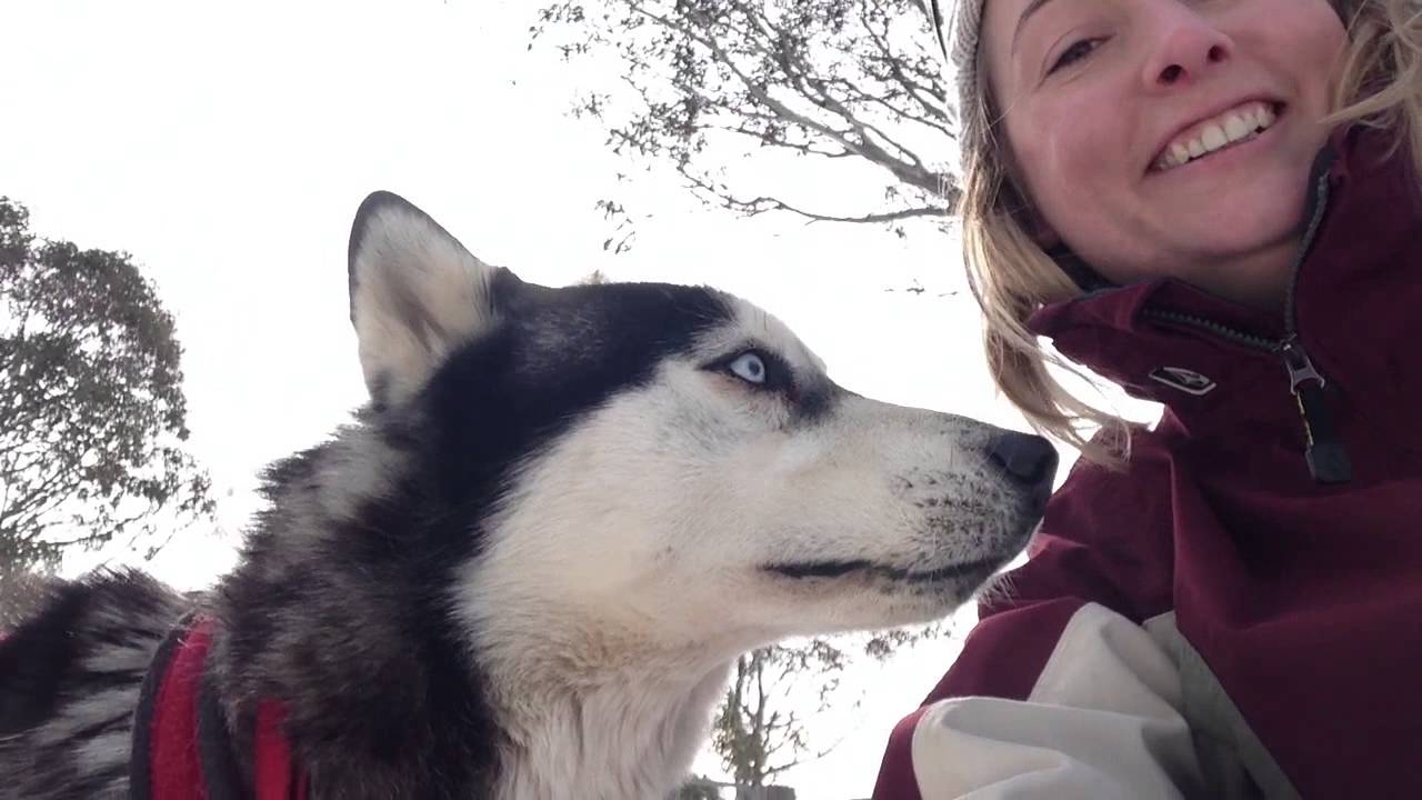 Husky Kiss - YouTube