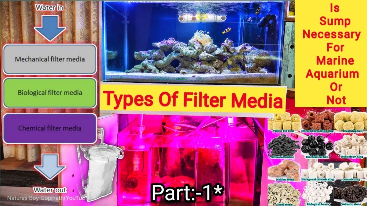 Types Of Filter Media For Marine Nd Freshwater Aquarium | Mechanical ...