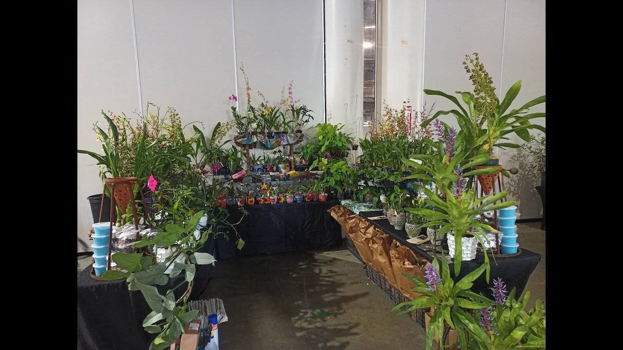 Houston's First Plant Con At NRG Center Walk Around 2023 - YouTube