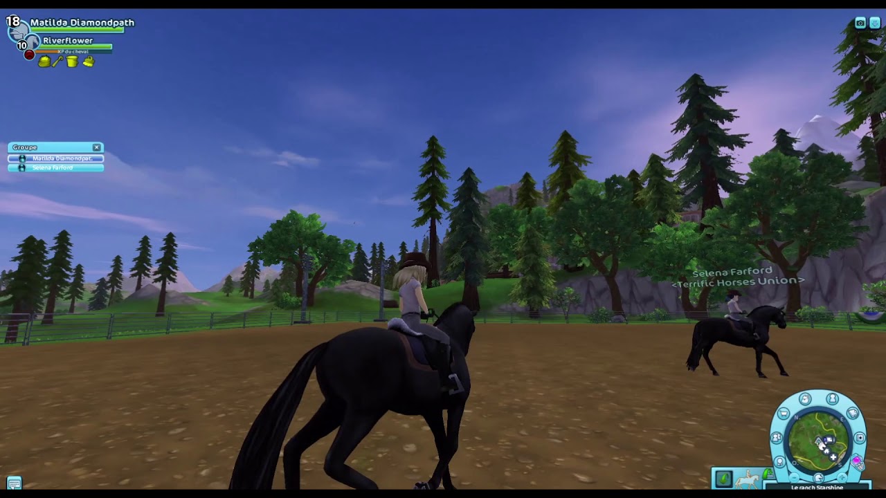 [SSO] Dressage avec Selena Farford | Carrière du Ranch Starshine ...