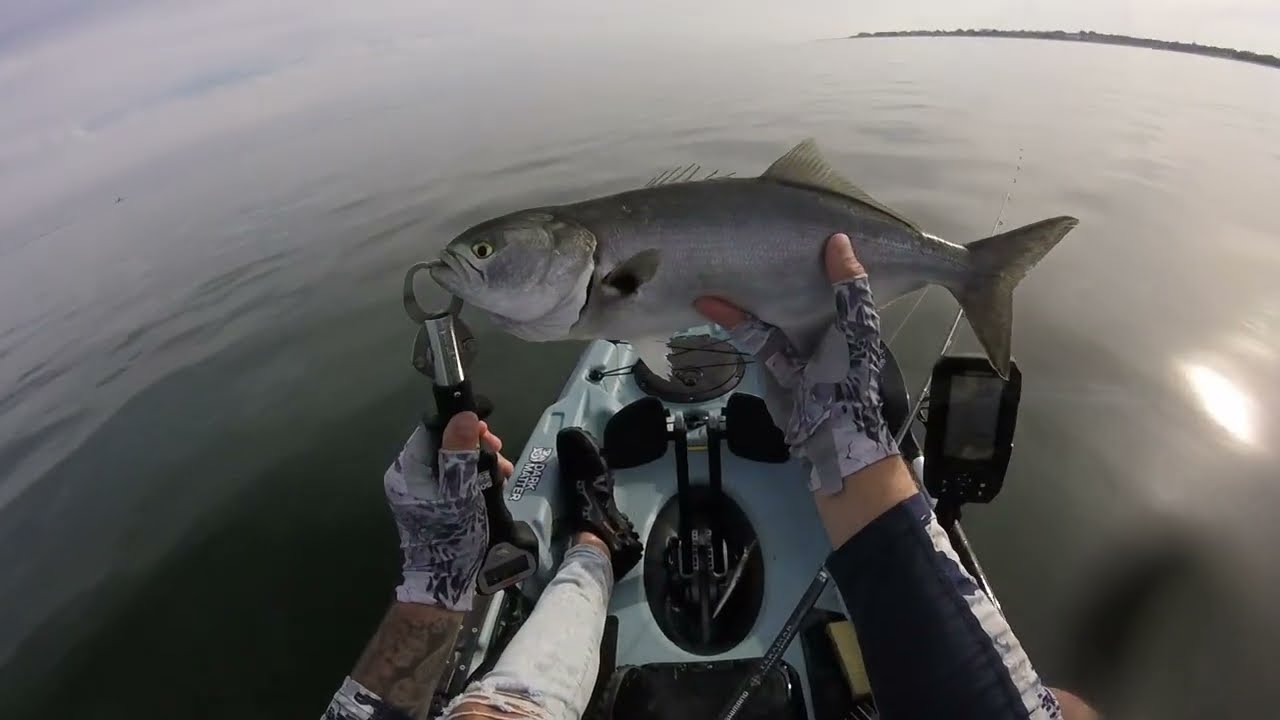 First Bluefish of 2022! (Connecticut Saltwater Fishing) - YouTube