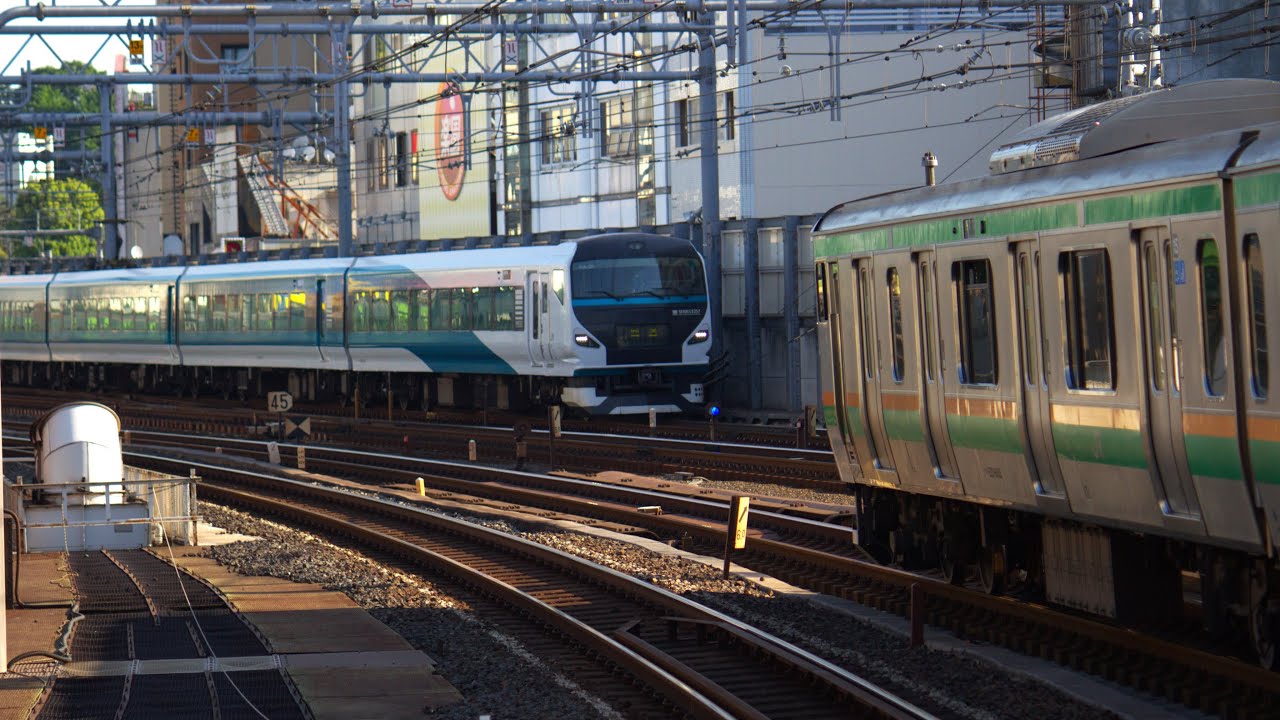 Shōnan–Shinjuku E231-1000 series meets Odoriko E257-2000 series train NA-09 - YouTube