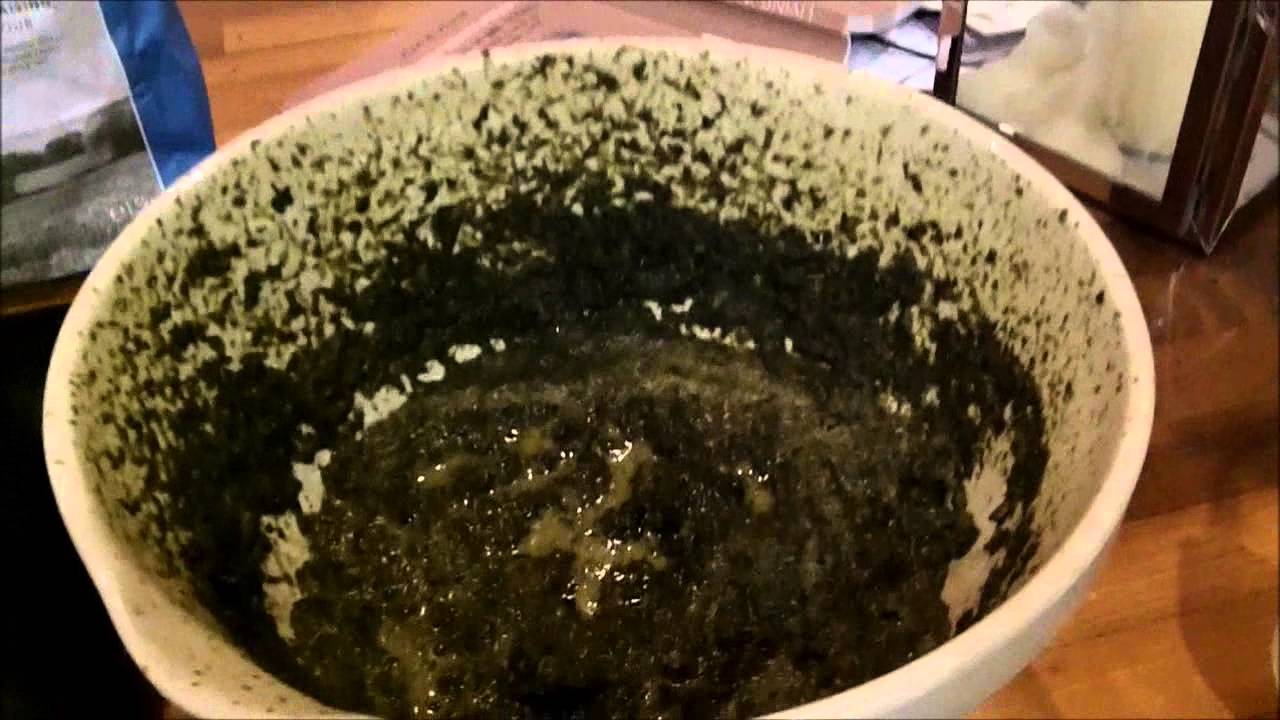 Making a comfrey poultice - YouTube