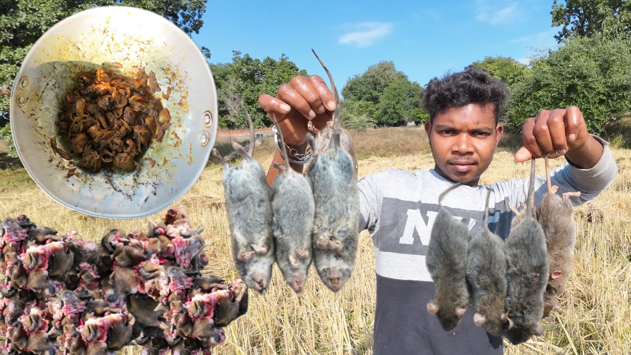 Eating Rat | Village Man Catching Rat And Cooking Rat Meat | Survival ...