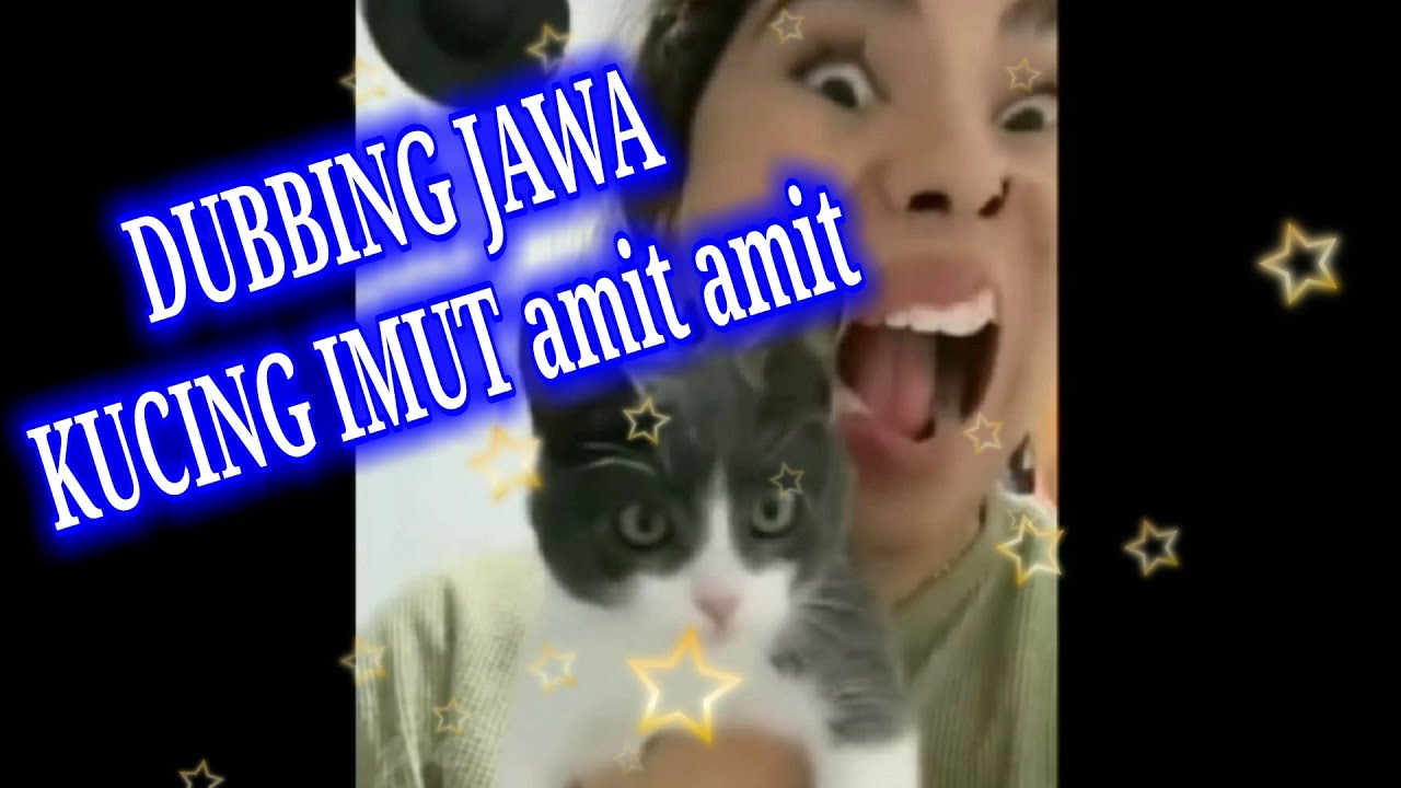 Dubbing Jawa Random kucing lucu bikin ngakak,kucing lucu imut,kucing ...