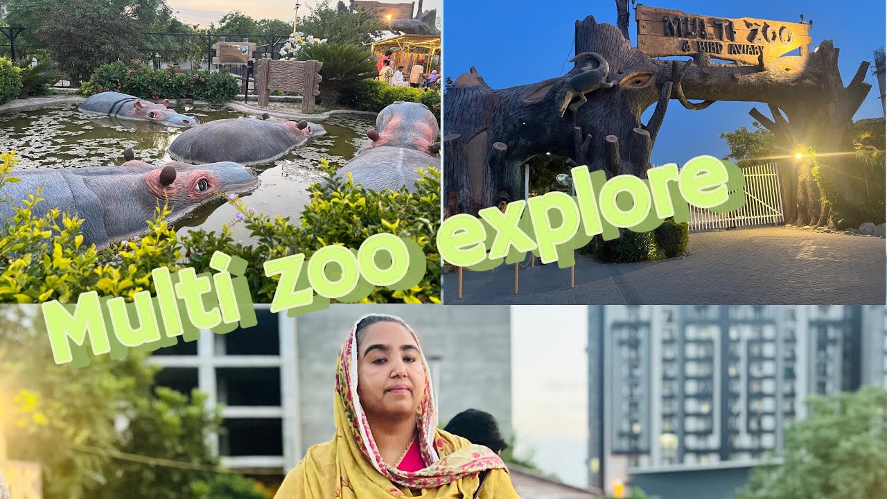 Most famous zoo in Islamabad/multi zoo B17/A worth seeing place - YouTube