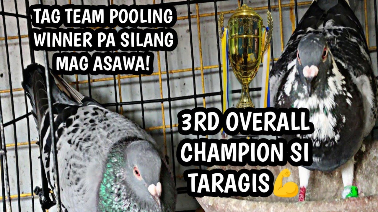 3RD OVERALL CHAMPION SI TARAGIS TAG TEAM WINNER PA SILA NI PUTRABLES ...