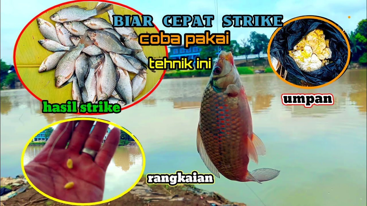 Mancing ikan nilem fshing pakai tehnik ini ternyata bisa strike bertubi tubi - YouTube