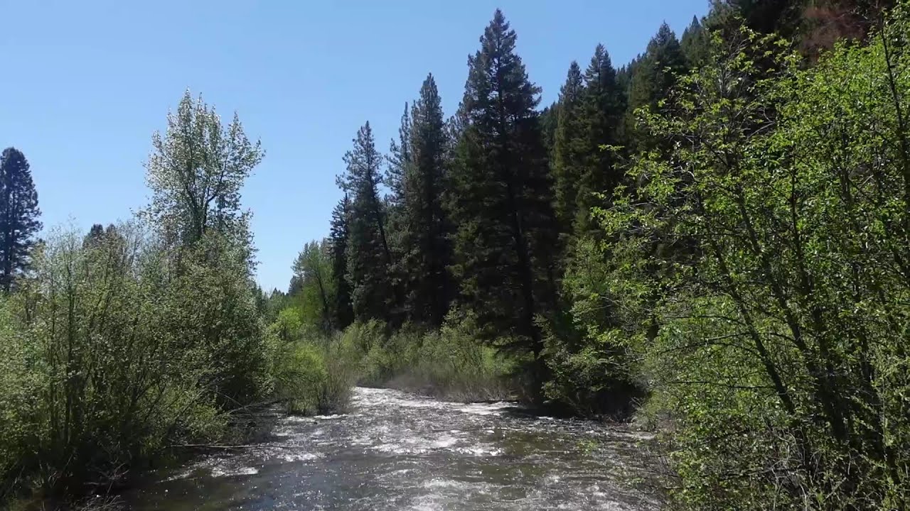 Rattlesnake park, Missoula Montana - YouTube