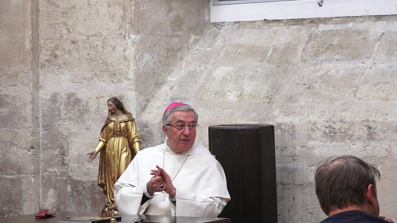 La bibliothèque monde - Mgr Brugues op - YouTube