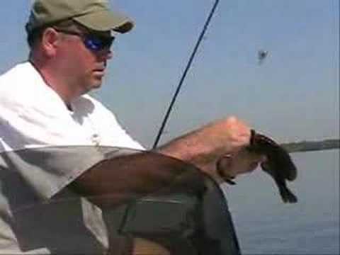 St. Johns River / Lake George - Florida Fishing - YouTube