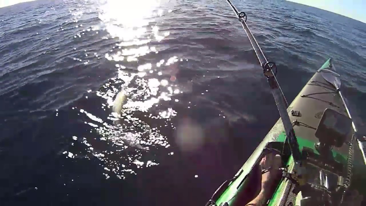 coffs harbour kayak fishing 16 6 18 - YouTube