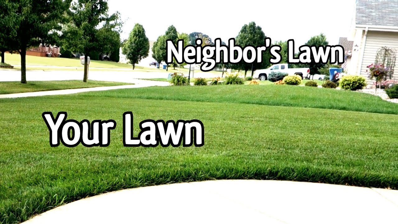 THE #1 REASON Your NEIGHBOR'S LAWN Is GREENER Than YOURS (and how to ...
