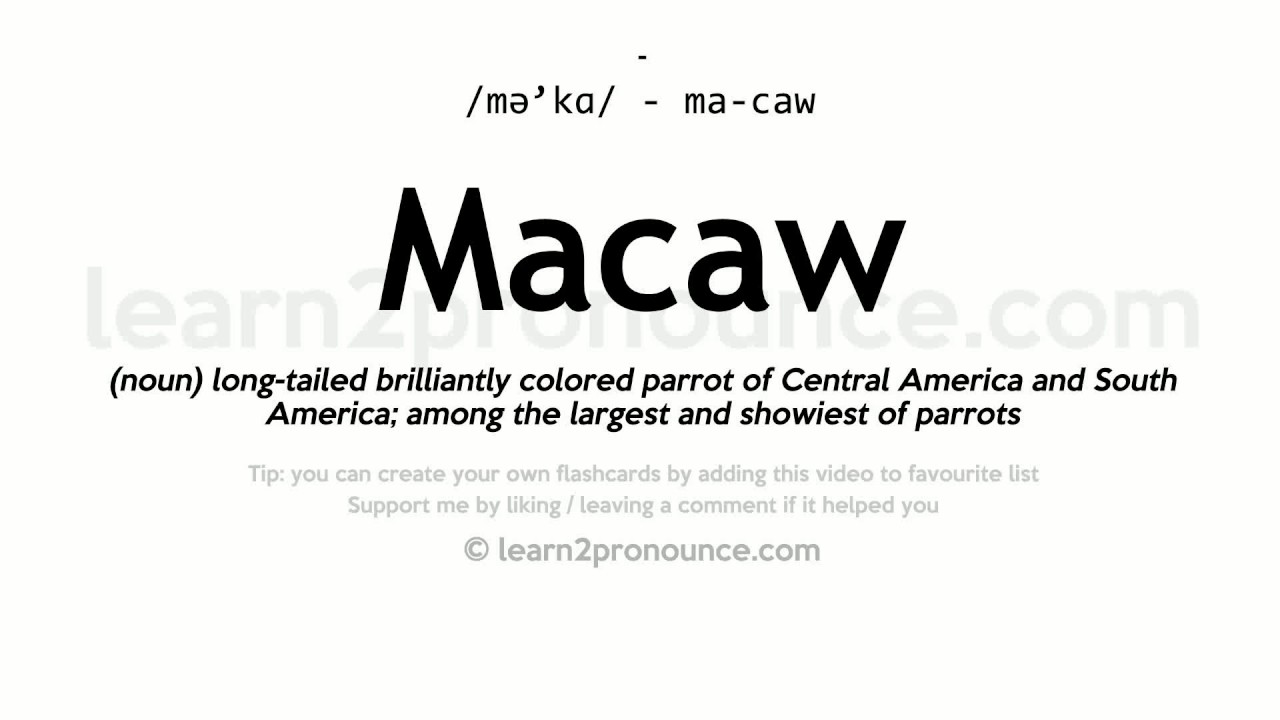 Pronunciation of Macaw | Definition of Macaw - YouTube