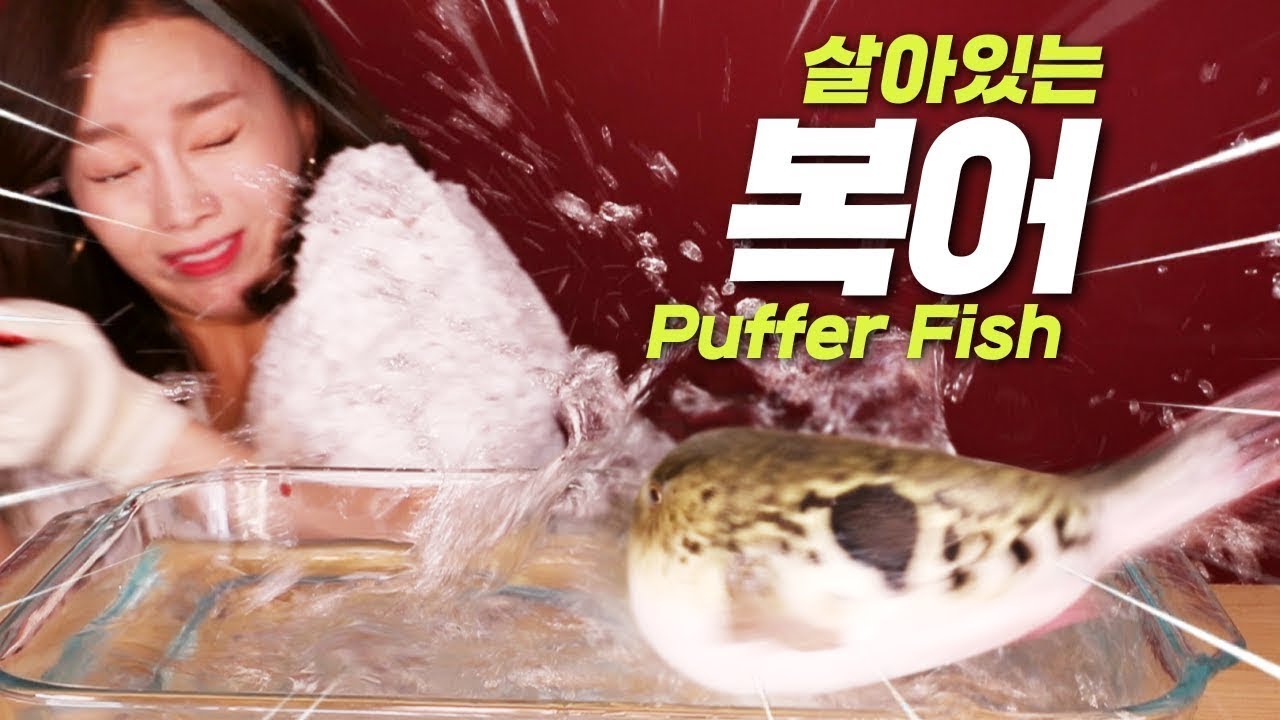 SSOYOUNG REGRETTING HER DECISION - SSOYOUNG FUNNY MOMENTS - YouTube