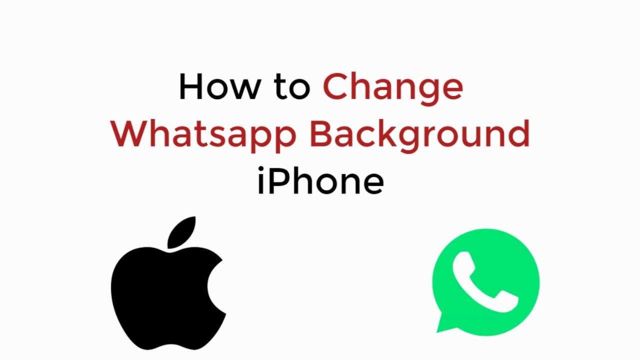 How To Change Whatsapp Background IPhone 2020 YouTube how-to-change-whatsapp-background-iphone-2020-youtube