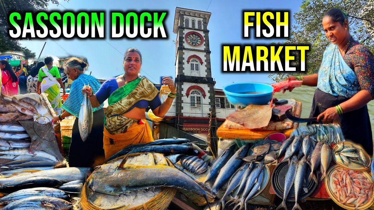 Sassoon Dock Fish Market Latest | Fish Market Sassoon Dock - YouTube