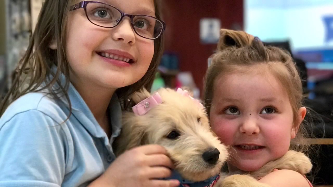 We got a new puppy! - YouTube