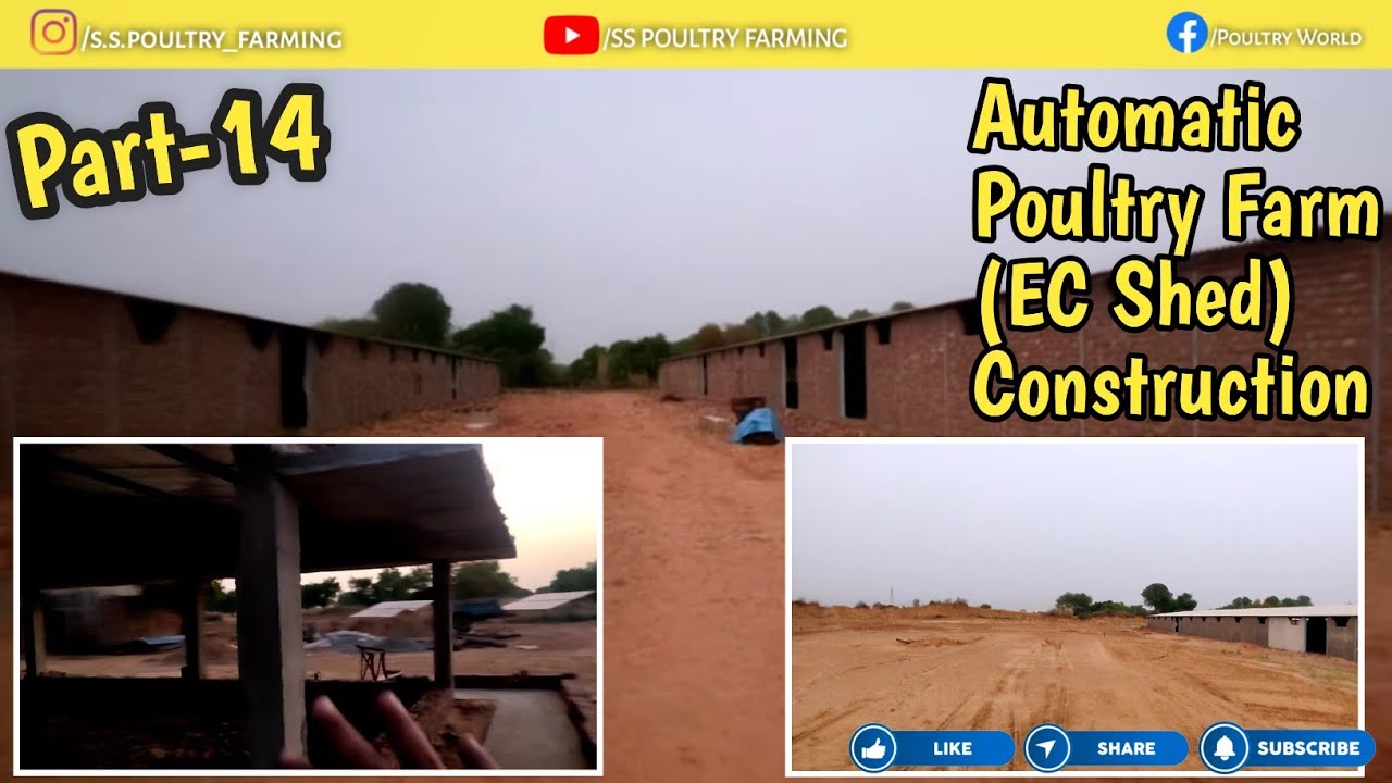 Part-14, Automatic Poultry Farm(EC Shed) construction,ऑटोमैटिक पोल्ट्री ...