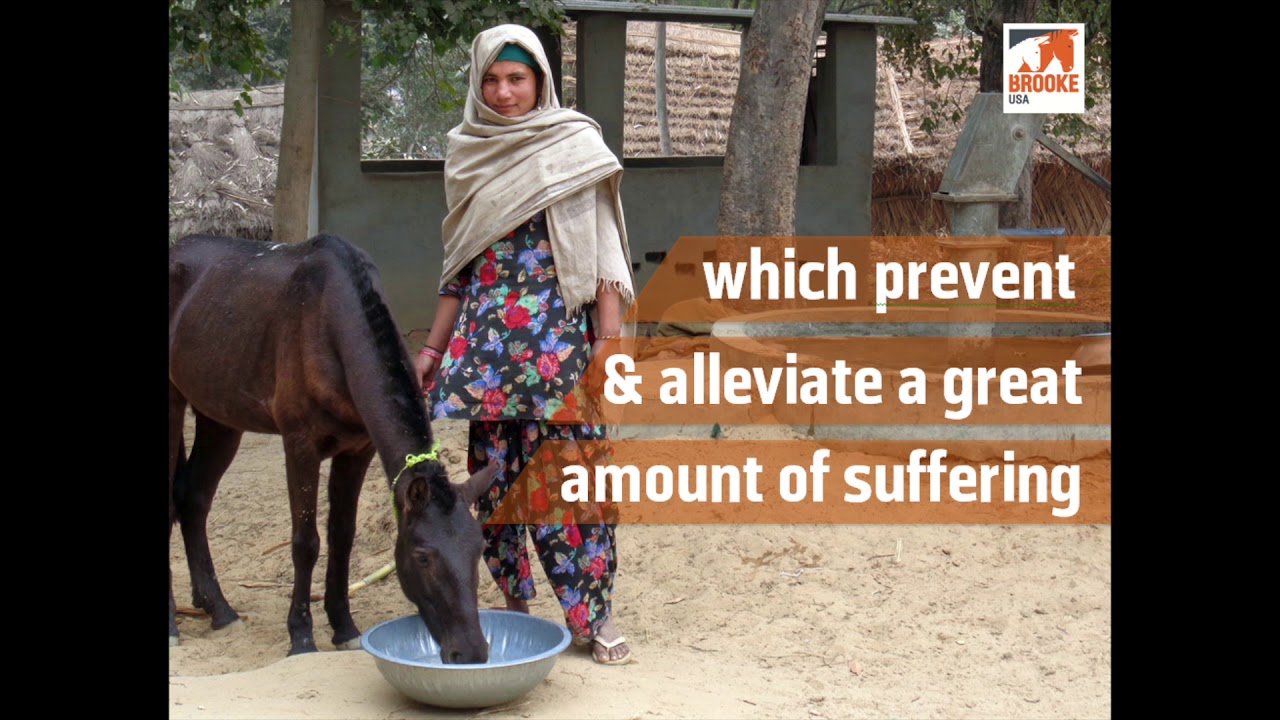 Full Tummy Project - YouTube