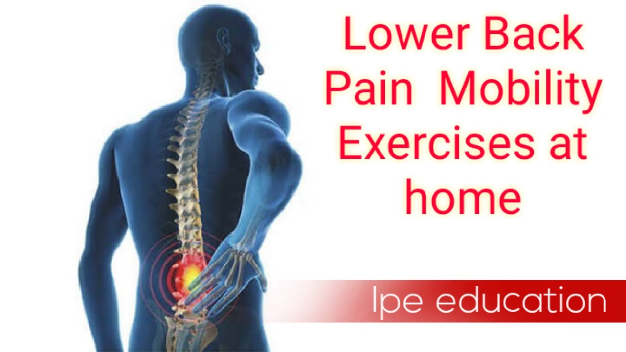 Lower Back Pain Mobility Exercises at Home - YouTube