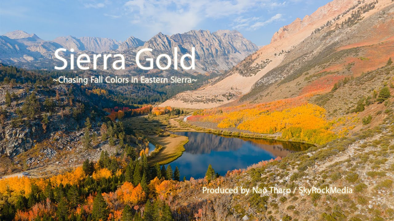 Sierra Gold ~Chasing Fall Colors in Eastern Sierra~ - YouTube