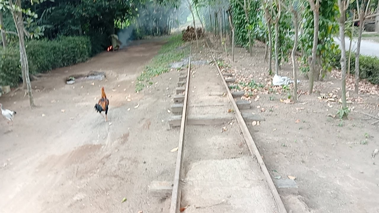 REL SEPUR TEBU NONAKTIF DESA BAGOREJO -- ASET PG.SEMBORO - YouTube