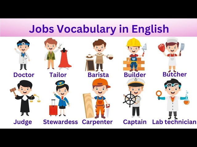Jobs And Occupations Vocabulary In English Dilbilgisi Advanced