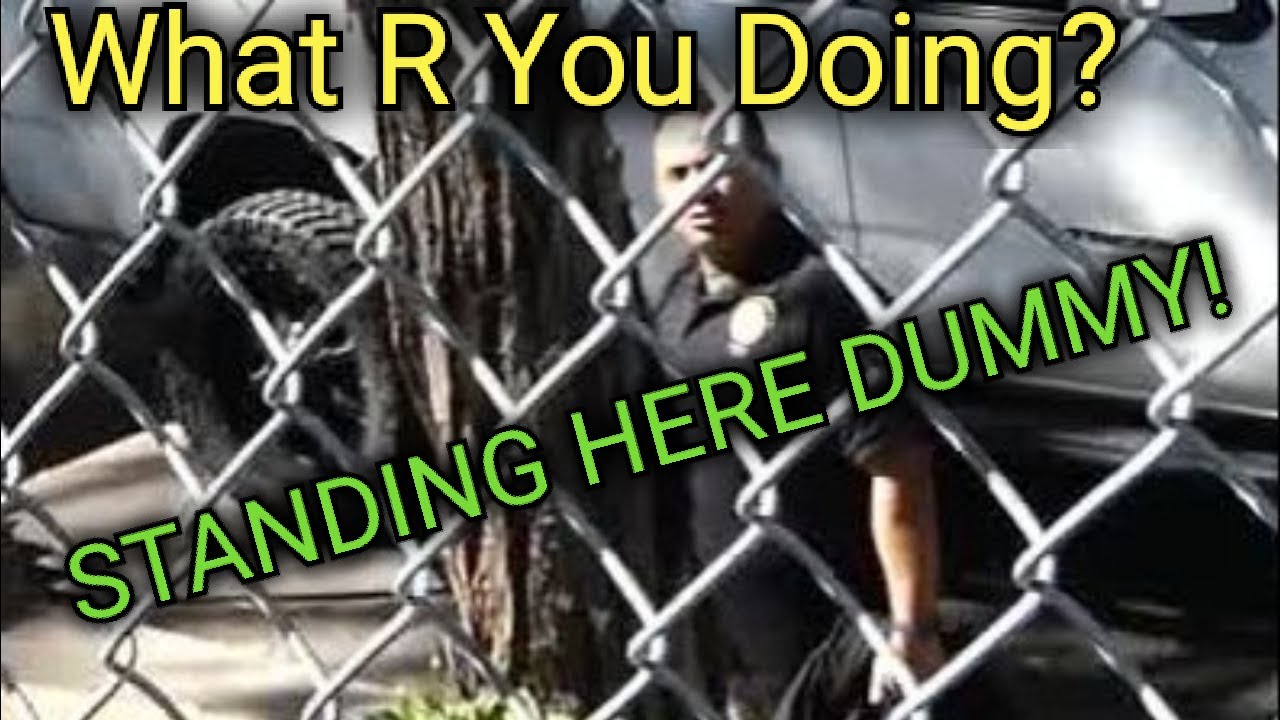 RUDE BORDER PATROL AGENT, CHULA VISTA BORDER STATION, 1ST AMENDMENT ...