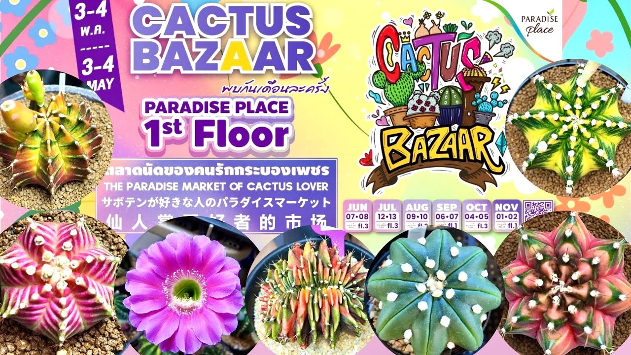 Tour Cactus Fair:🌵 Cactus Bazaar| 3-4 May 2025 @Paradise Place | a lot ...