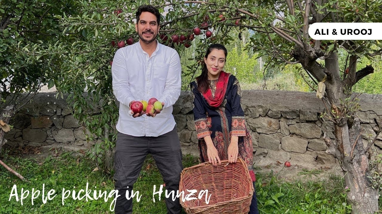 Apple Picking in Hunza | BBQ Night - Daily Vlog - YouTube