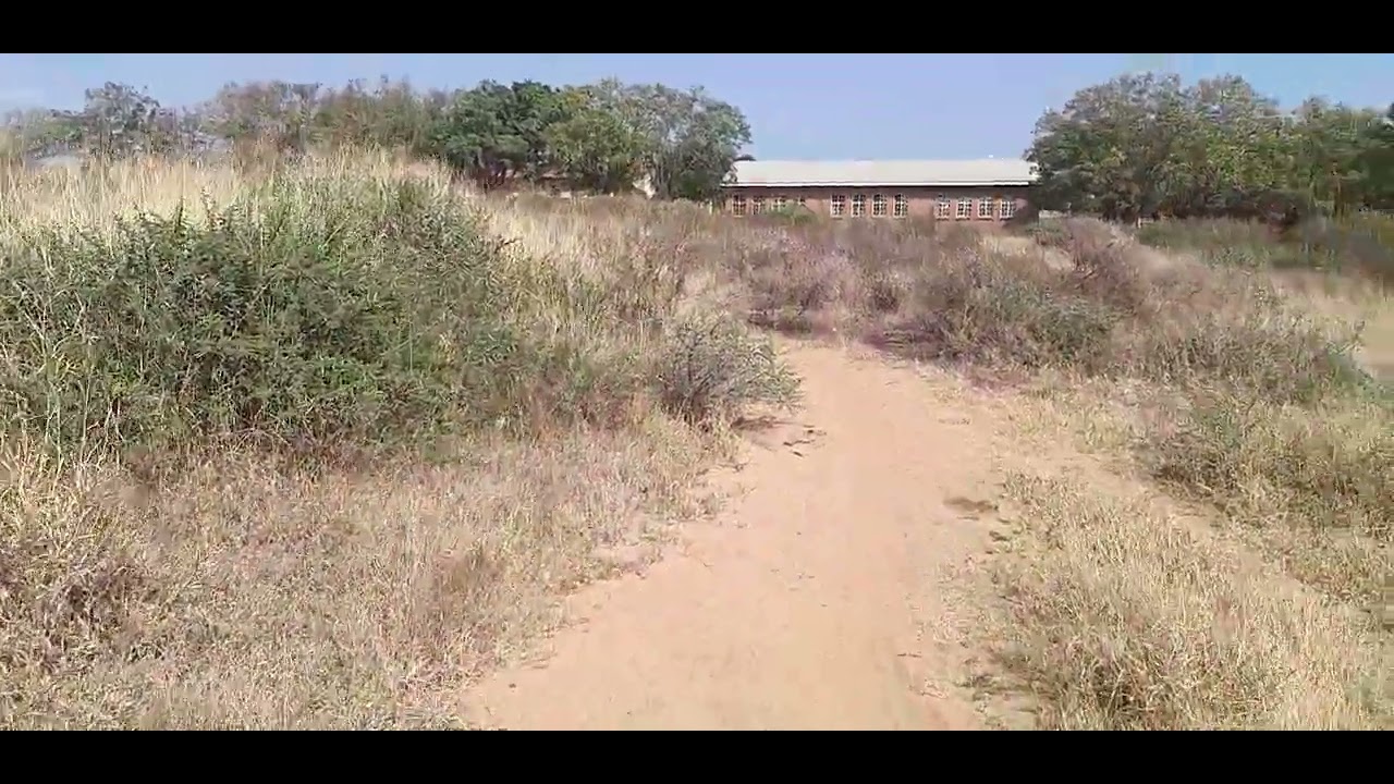 Limpopo Botlokwa - YouTube