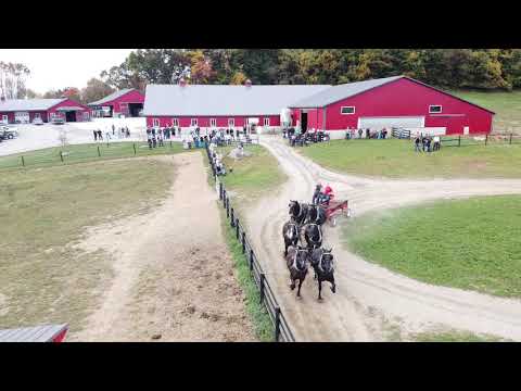 Slate Acres - Percheron Hitch - YouTube
