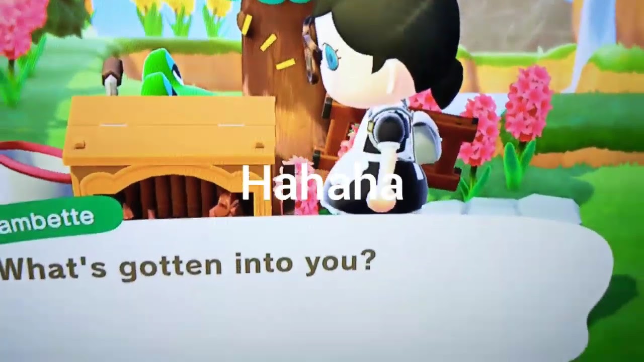 Bullying my villagers in Animal Crossing New Horizons - YouTube