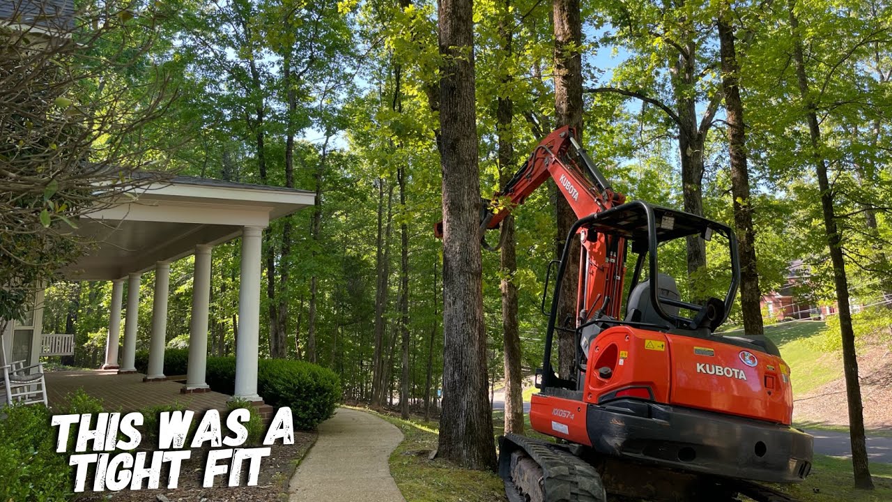 More tricky tree cutting - YouTube